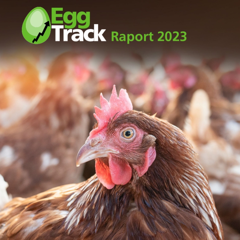 Raport EggTrack (2023) | Compassion Polska